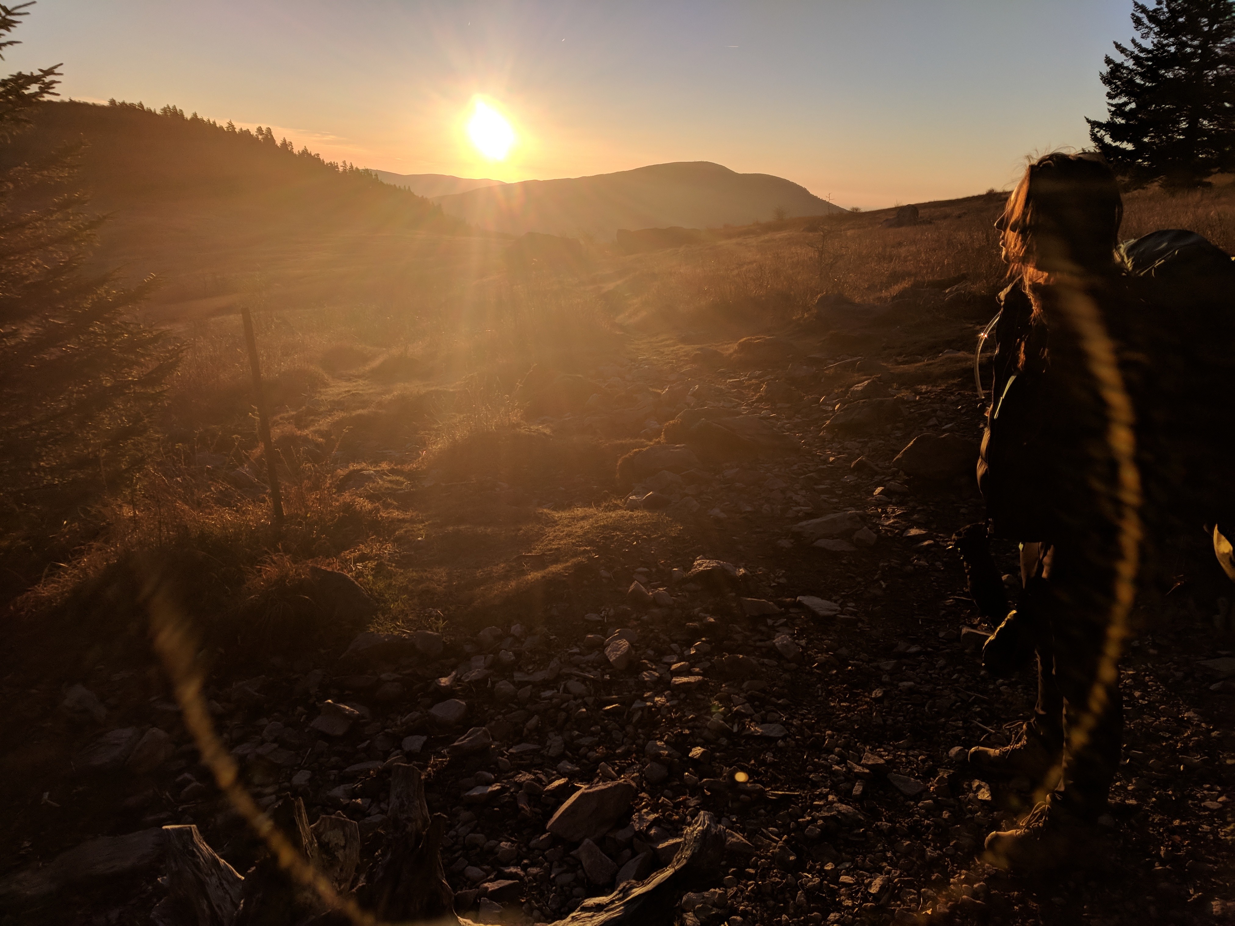 Backpacking the Grayson Highlands and Feeding Wild Ponies - Adventures ...