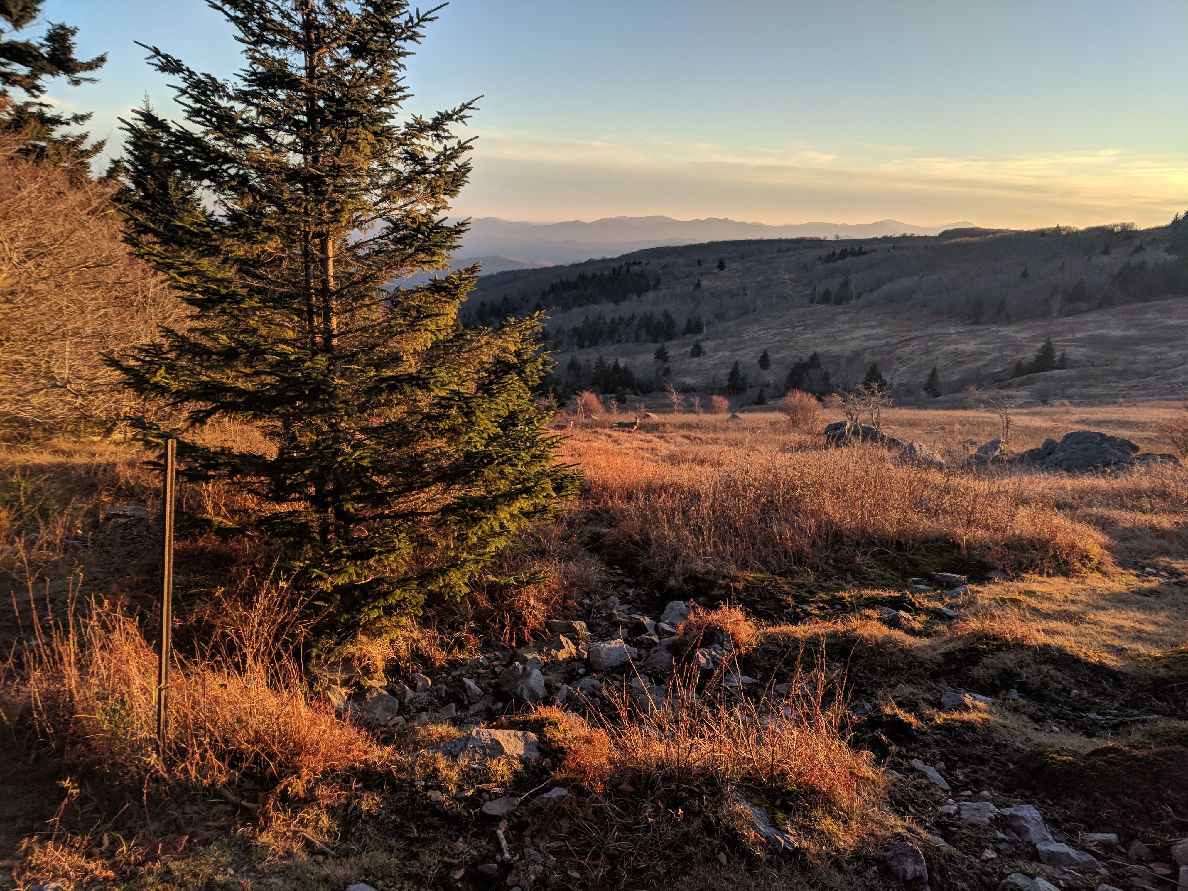Backpacking the Grayson Highlands and Feeding Wild Ponies - Adventures ...